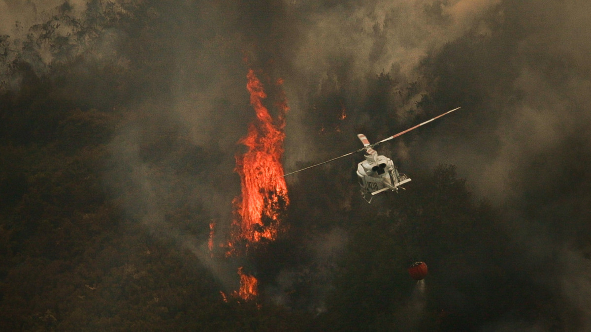 En Qu Hemos Fallado Contra El Fuego Prevenir Cuesta Menos Que Apagar En Qu Hemos Fallado Contra El Fuego Prevenir Cuesta Menos Que Apagar